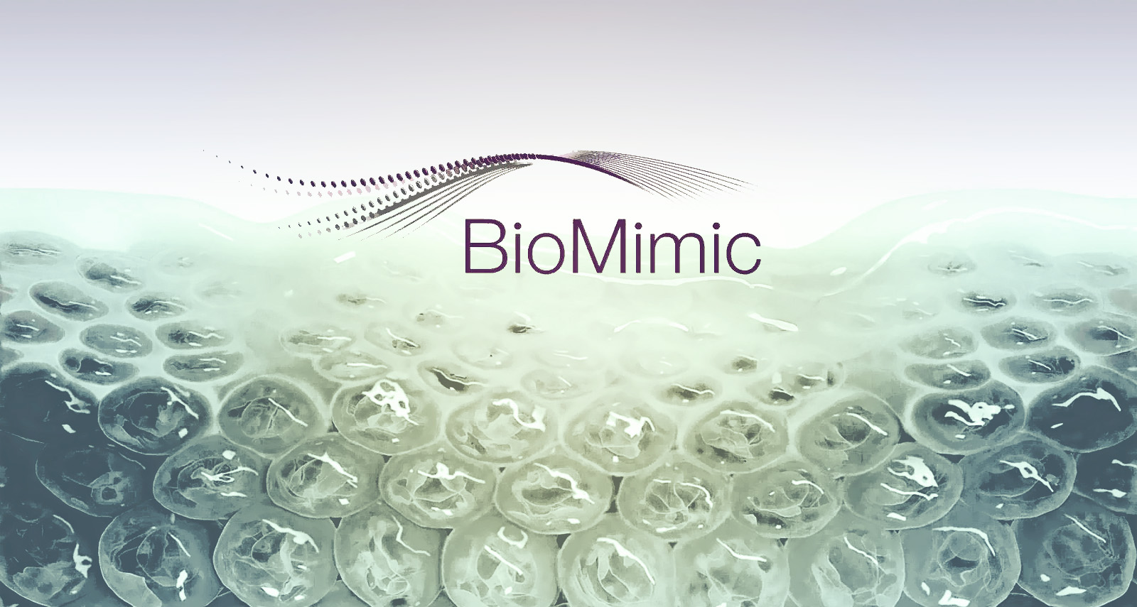 Βιομίμηση - Η νέα υποσχόμενη επιστήμη | hellagen.gr